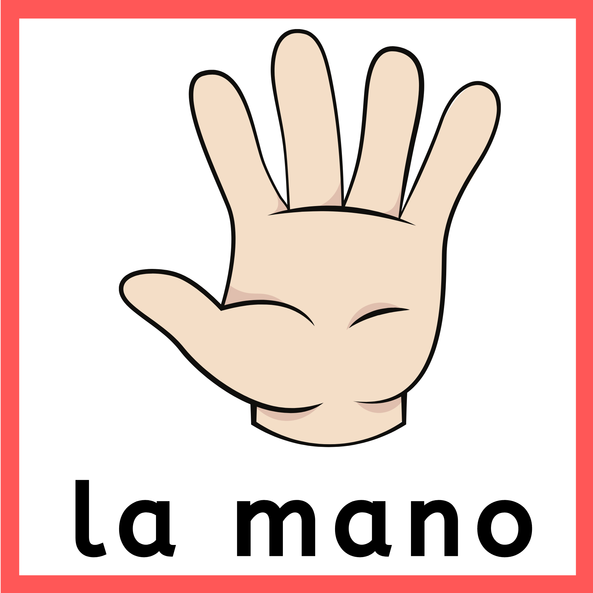 Partes del cuerpo – Juego de memoria – Educando America – Spanish School