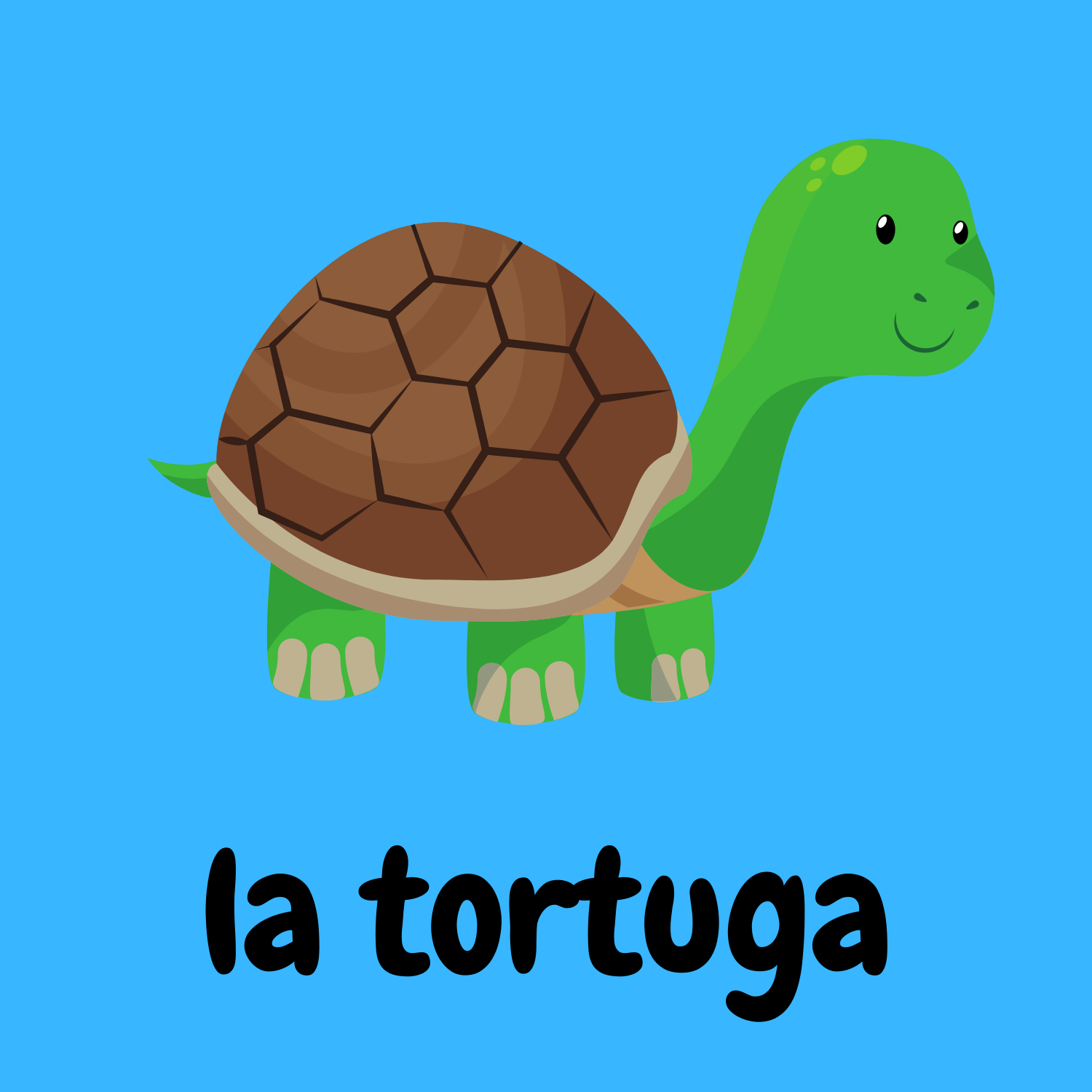 Juego de memoria animales domésticos – Educando America – Spanish School